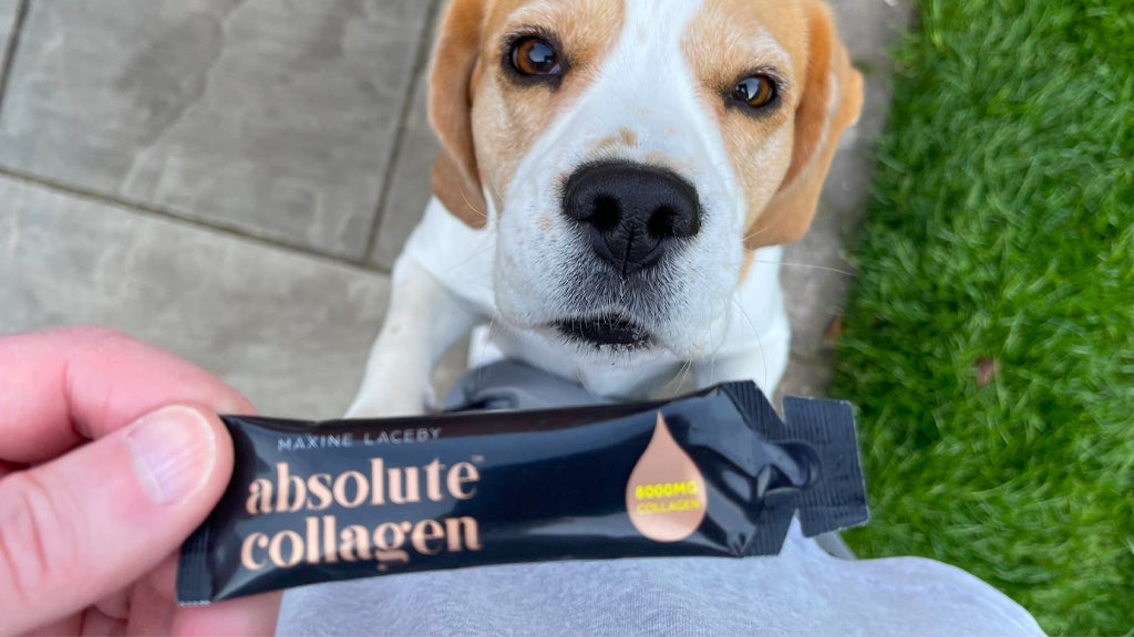 What Can Collagen Do For Men? – Absolute Collagen EU